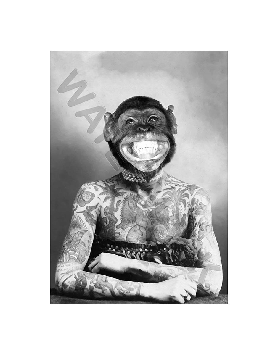 Ape Tattoos Inksane Tattoo And Body Piercing Athlone Space Monkey