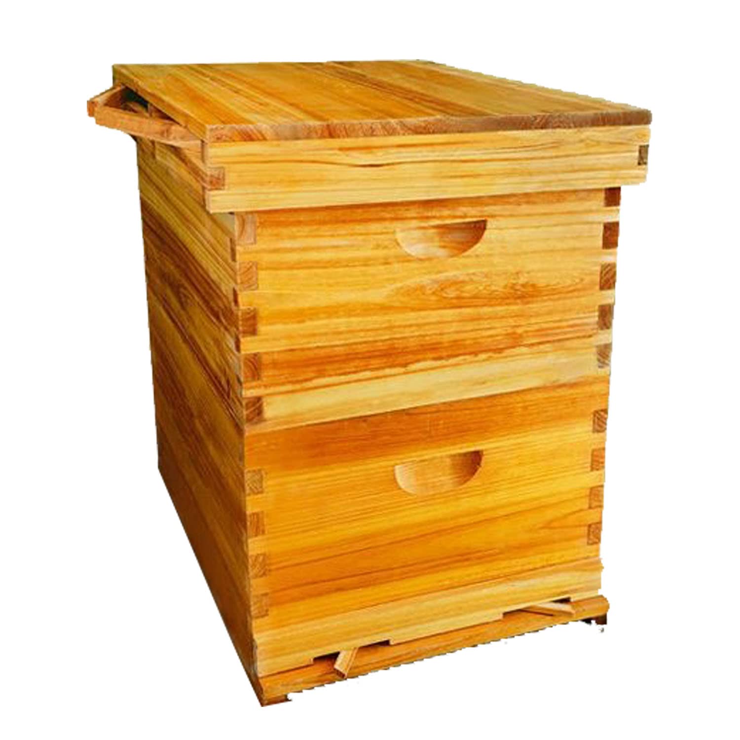 Intonly 10 Frames Bee Hive Box, 2 Layers Beehive Box Starter Kit for ...