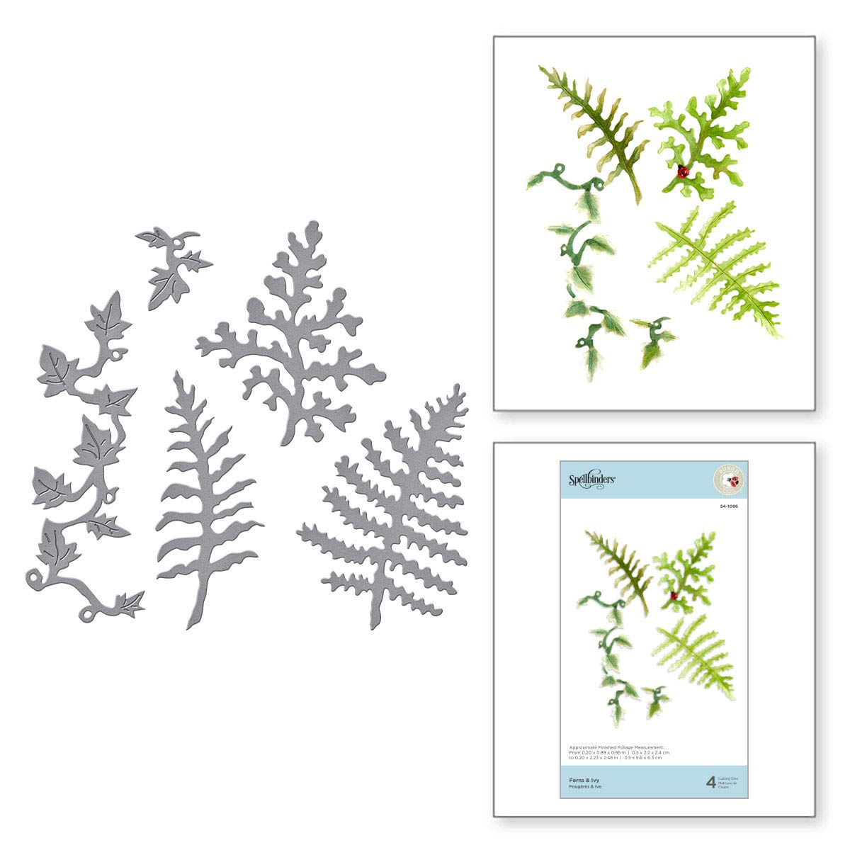 Buy Spellbinders Ferns & Ivy Dies Spring Flora by Susan Tierney ...