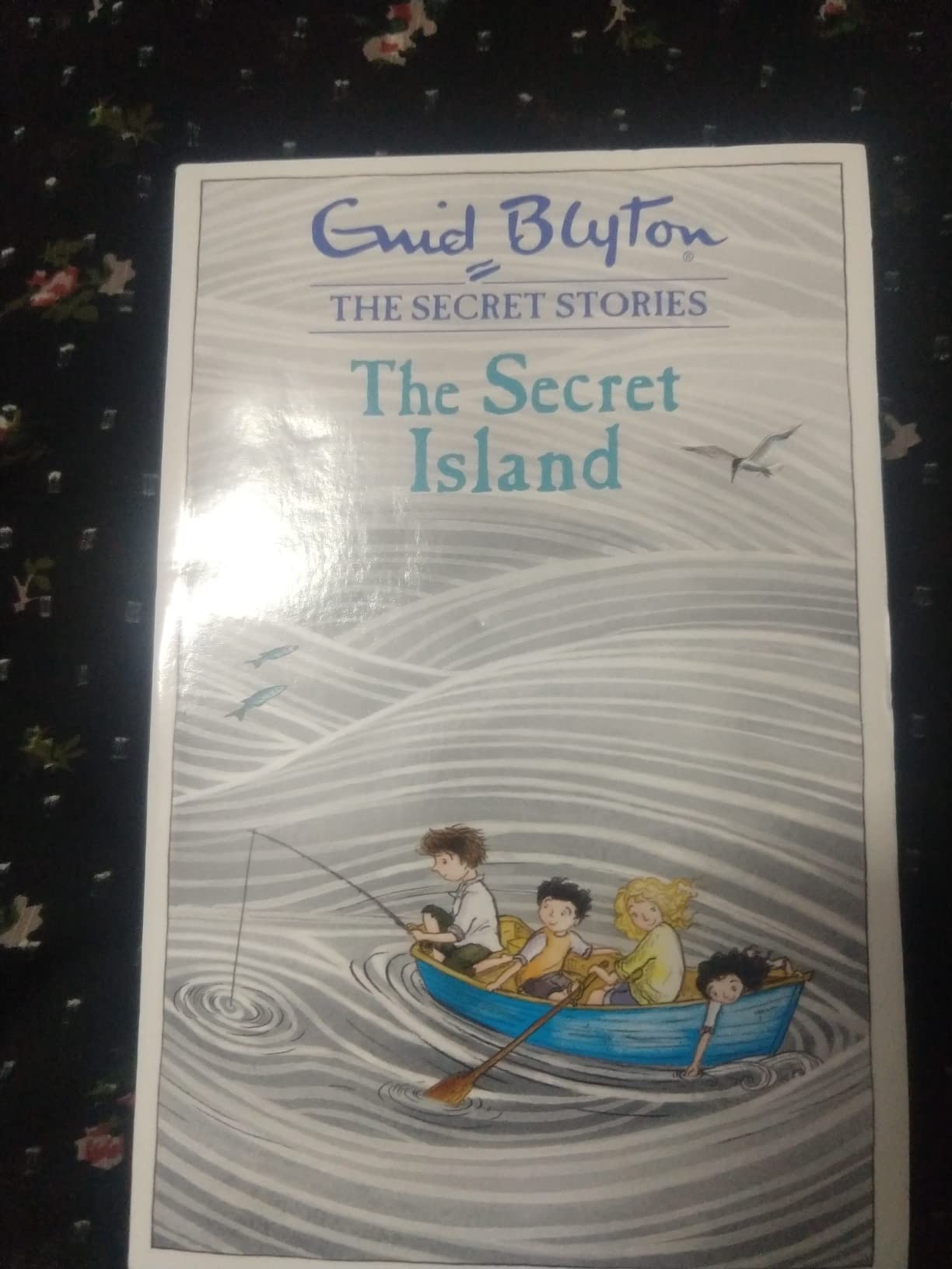 The Secret Island: Book 1 (Secret Stories) eBook : Blyton, Enid: Amazon ...
