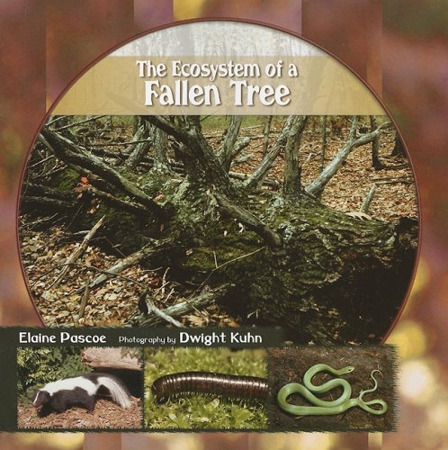 The Ecosystem of a Fallen Tree (Library of Small Ecosystems) : Pascoe ...