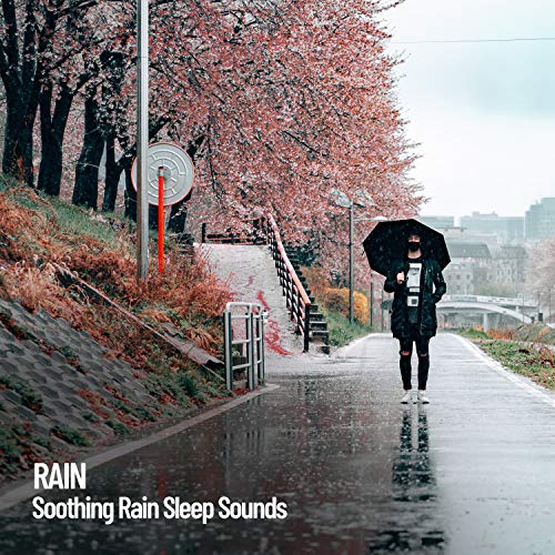 Amazon Music - The Nature Soundscapes, Rain Sounds ACE, The Rain ...