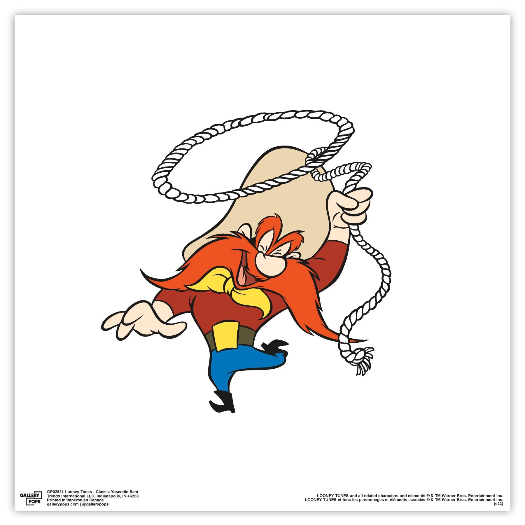 Amazon.com: Trends International Gallery Pops Looney Tunes - Classic ...