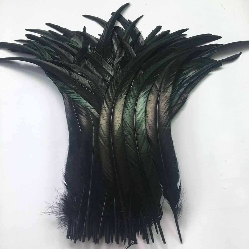 Sowder Sowder Black Rooster Coque Tail Feathers 16-18inch Lengh Pack of ...
