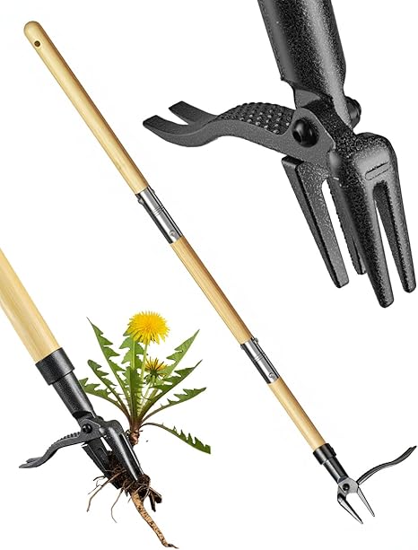 Rgaden Weed Remover Tool Stand Up, 110cm Original Bamboo Long Handle ...