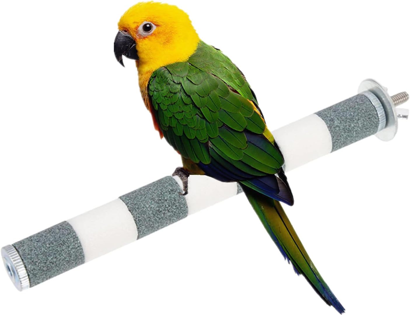 Amazon.com : EMISTEM Bird Perch Rough-surfaced Nature Wood Stand Toy ...