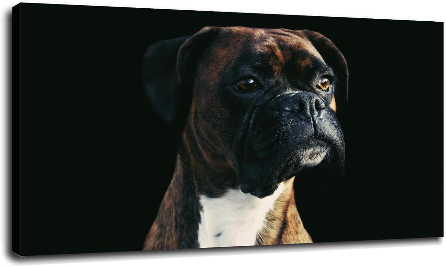 Amazon.com: heoc Canvas Wall Art Boxer Dog Posters Pictures Wall Decor ...