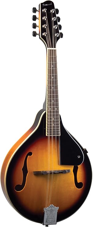 Amazon.com: Savannah SA-100 A-Model Mandolin, Sunburst : Musical ...