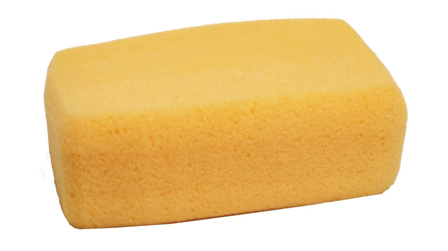 Amazon.com: Magnolia Brush 592 Polyester Rectangular Sponge, 6-5/8 ...