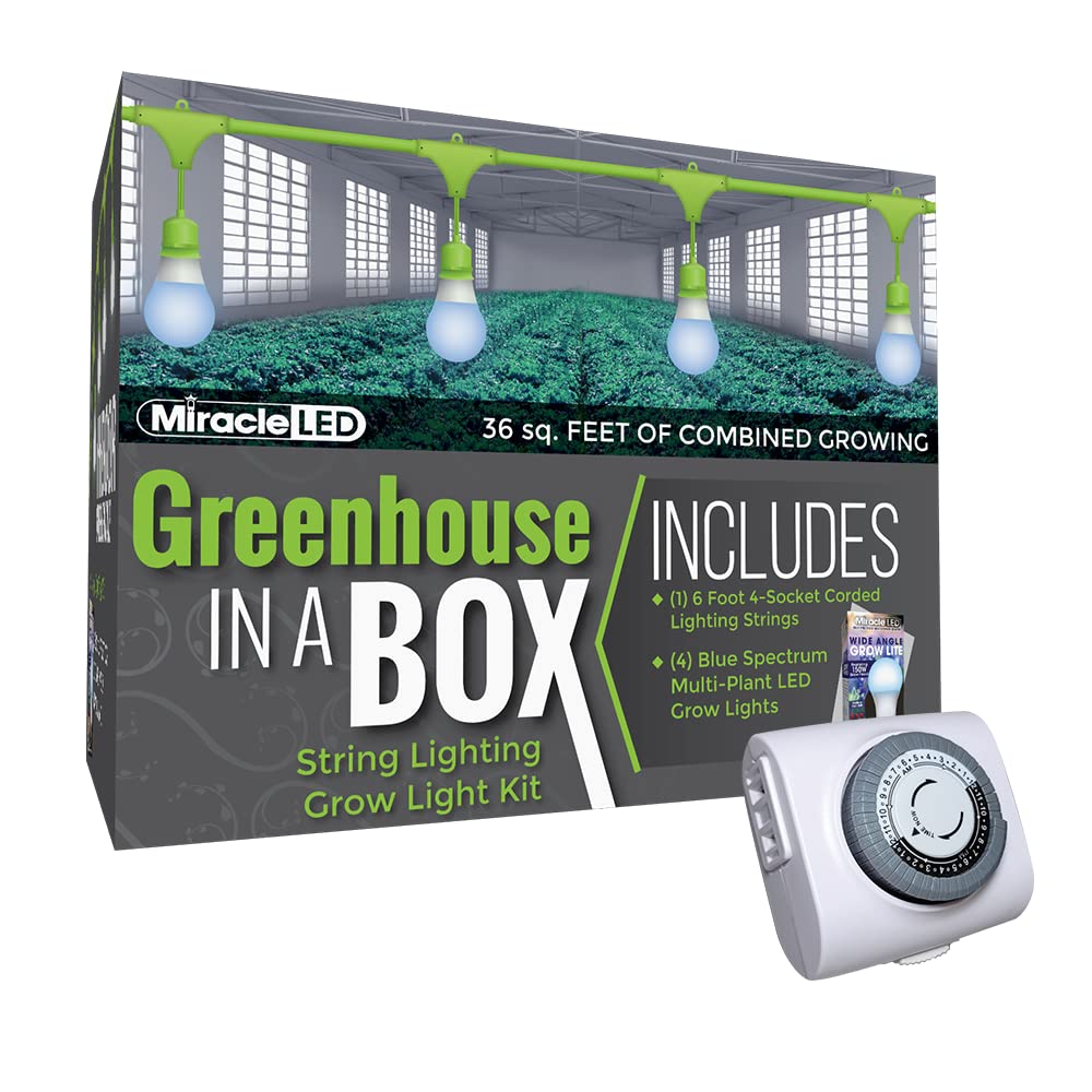 Amazon.com : Miracle LED Greenhouse in a Box Grow Kit - Includes 4 ...