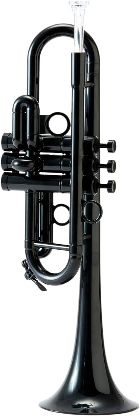 Amazon.com: PAMPET Professional Plastic Trumpet C trumpet (Black ...