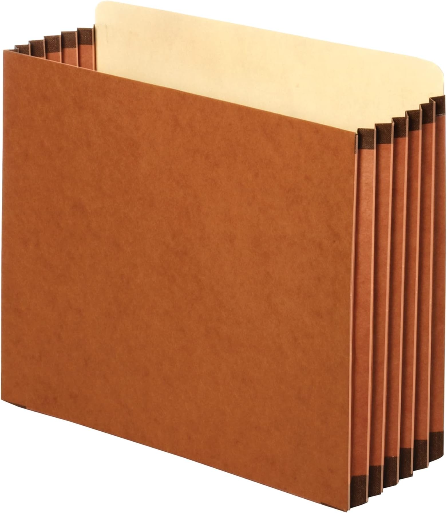 Amazon.com : Globe Weis Heavy-Duty Letter File Cabinet Pockets ...