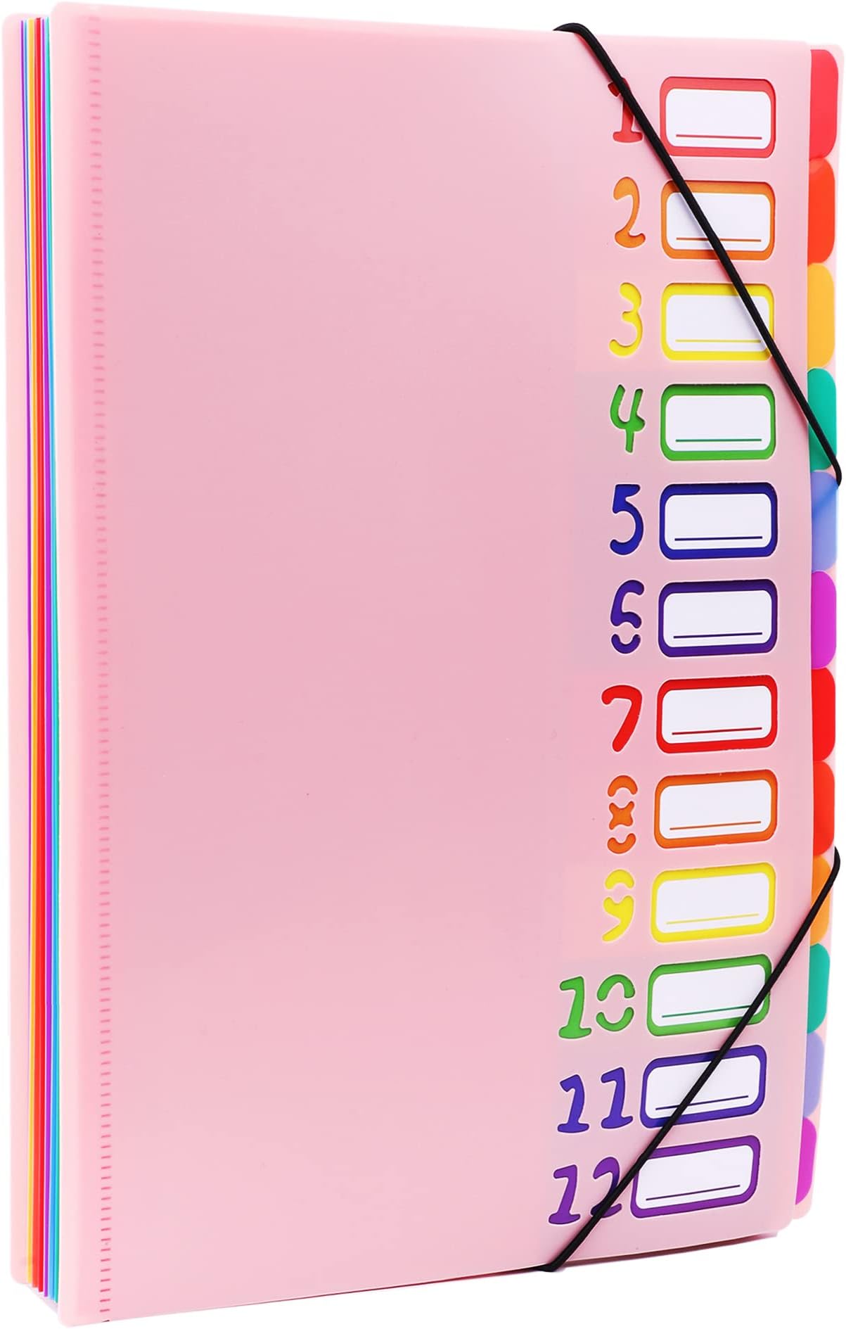 Amazon.com : Tri-Fold Folder w/3 Pockets, Holds 150 Letter-Size Sheets ...