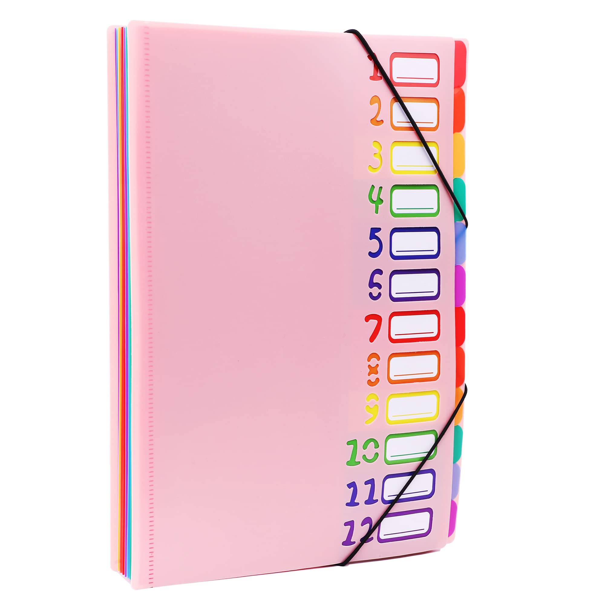 Amazon.com : Edufun Rainbow Tab Expanding File Folder - 24 Pockets ...