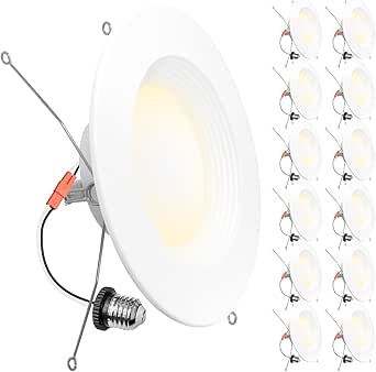 DEGNJU 5/6 inch Recessed Lighting, LED Can Lights for Ceilling, 2700K ...