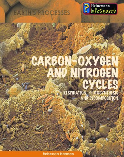 Carbon-Oxygen and Nitrogen Cycles : Buy Online at Best Price in KSA ...