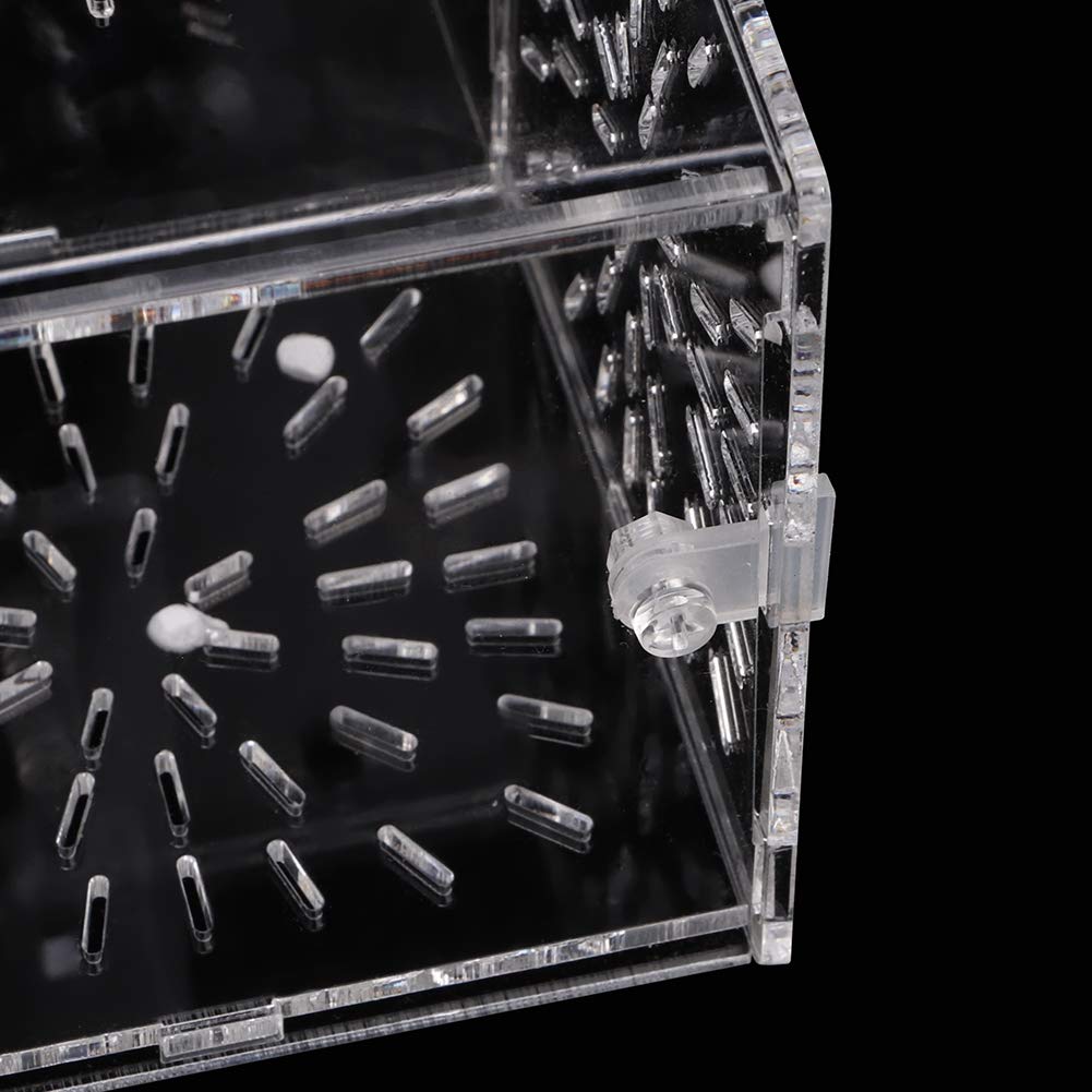 Buy Fish Breeding Incubator, Non-toxic Fish Tank Acrylic Height ...