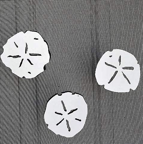 Amazon.com: DCentral® Sand Dollars Flexible Vinyl Screen Magnets ...