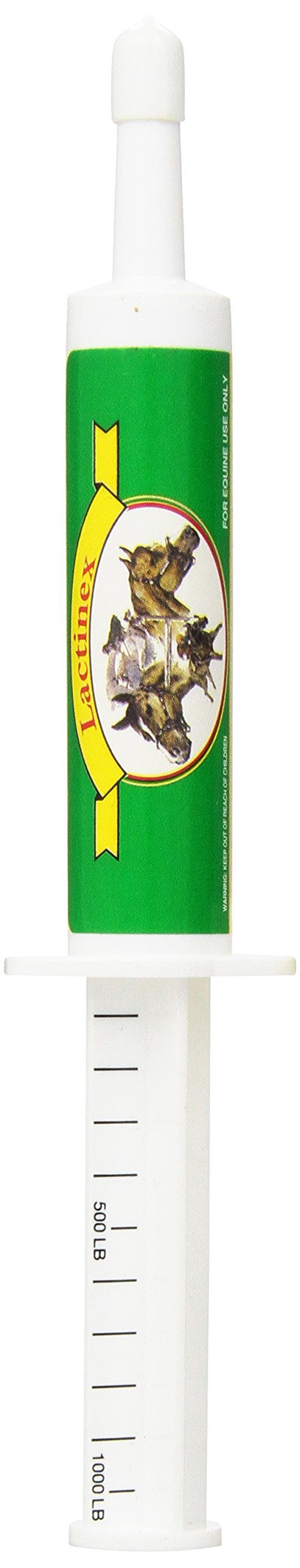 Amazon.com: Oralx Lactinex Dietary Supplement Tube Gel, 34gm : Pet Supplies