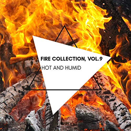 Amazon.com: Hot and Humid - Fire Collection, Vol.9 : VARIOUS ARTISTS ...