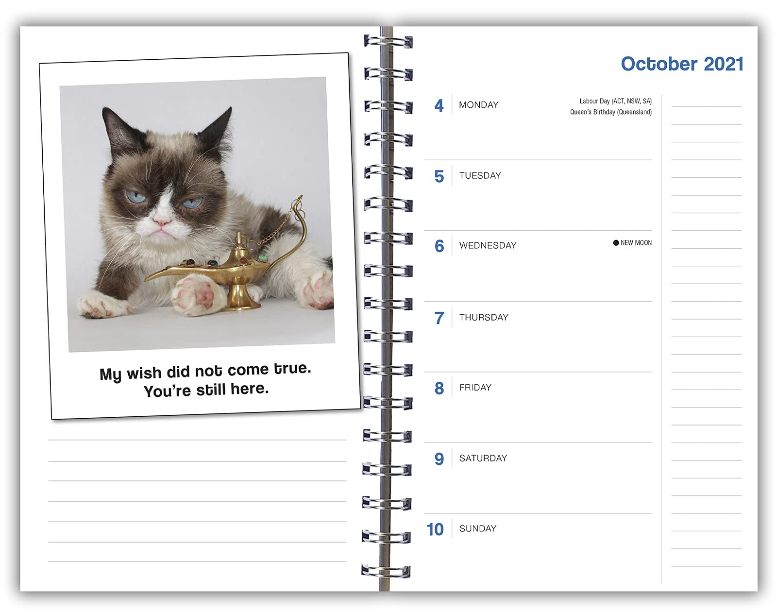 Grumpy Cat Engagement