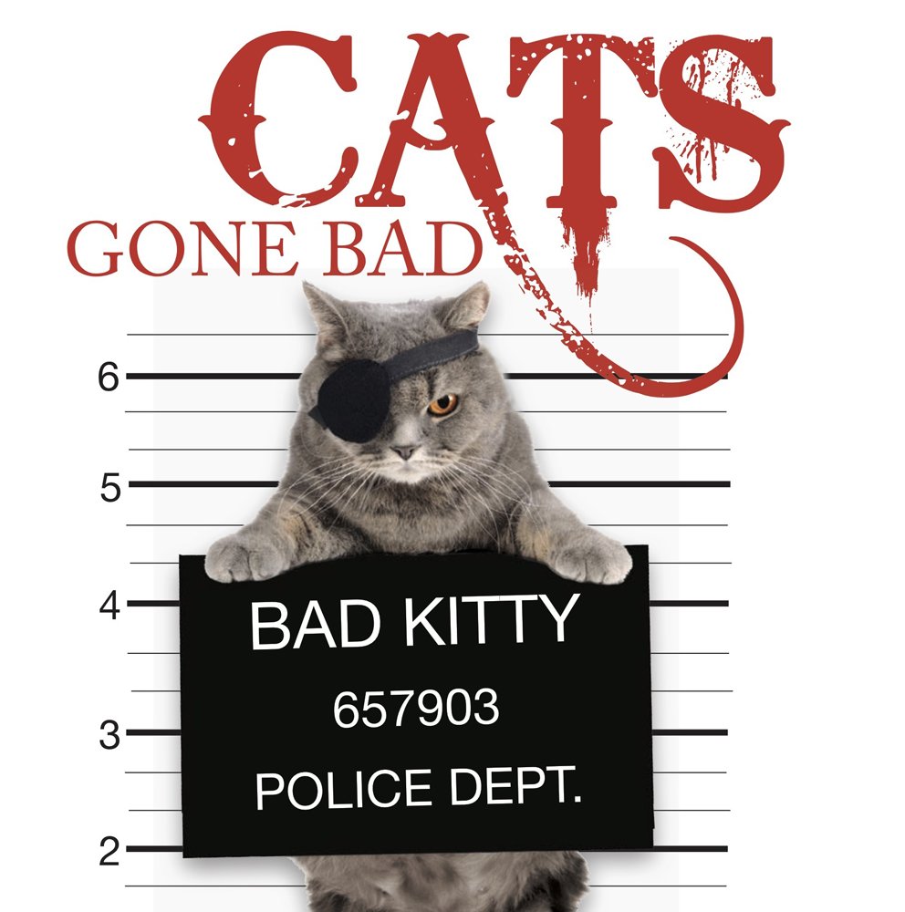 Cats Gone Bad (Mini Gift): Scratching, Kat: 9781782743200: Amazon.com ...