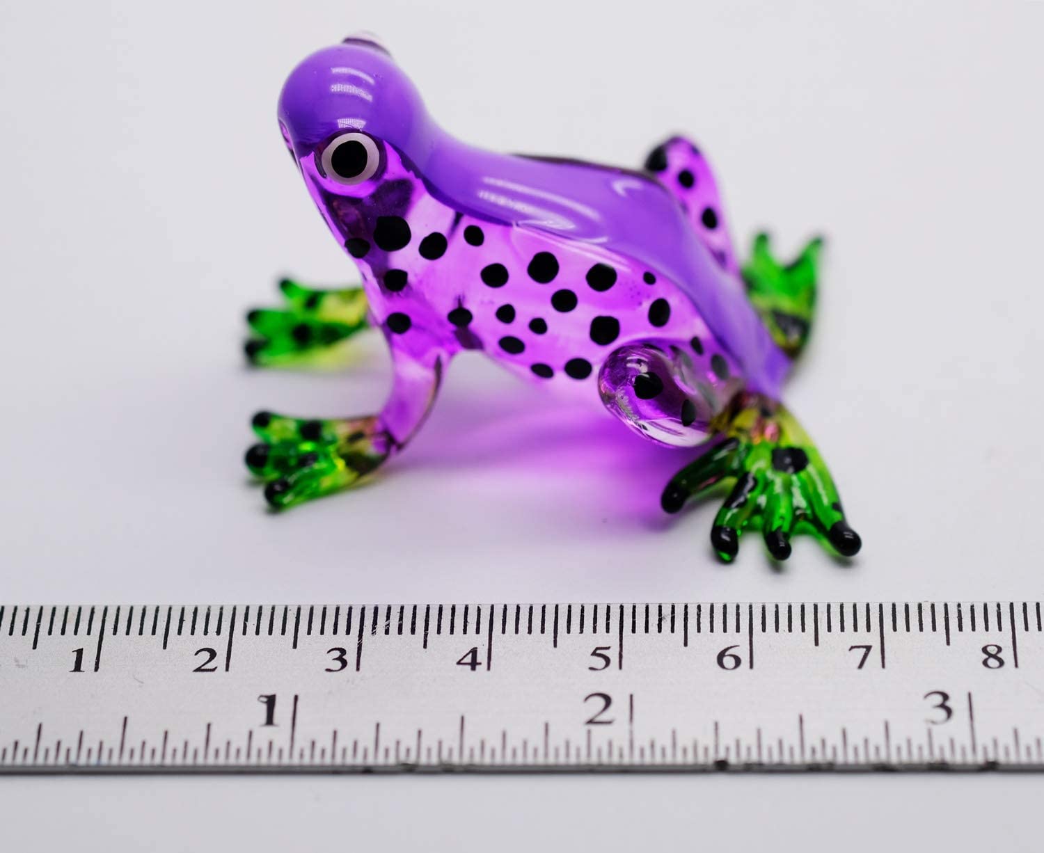 Purple Poison Arrow Frog