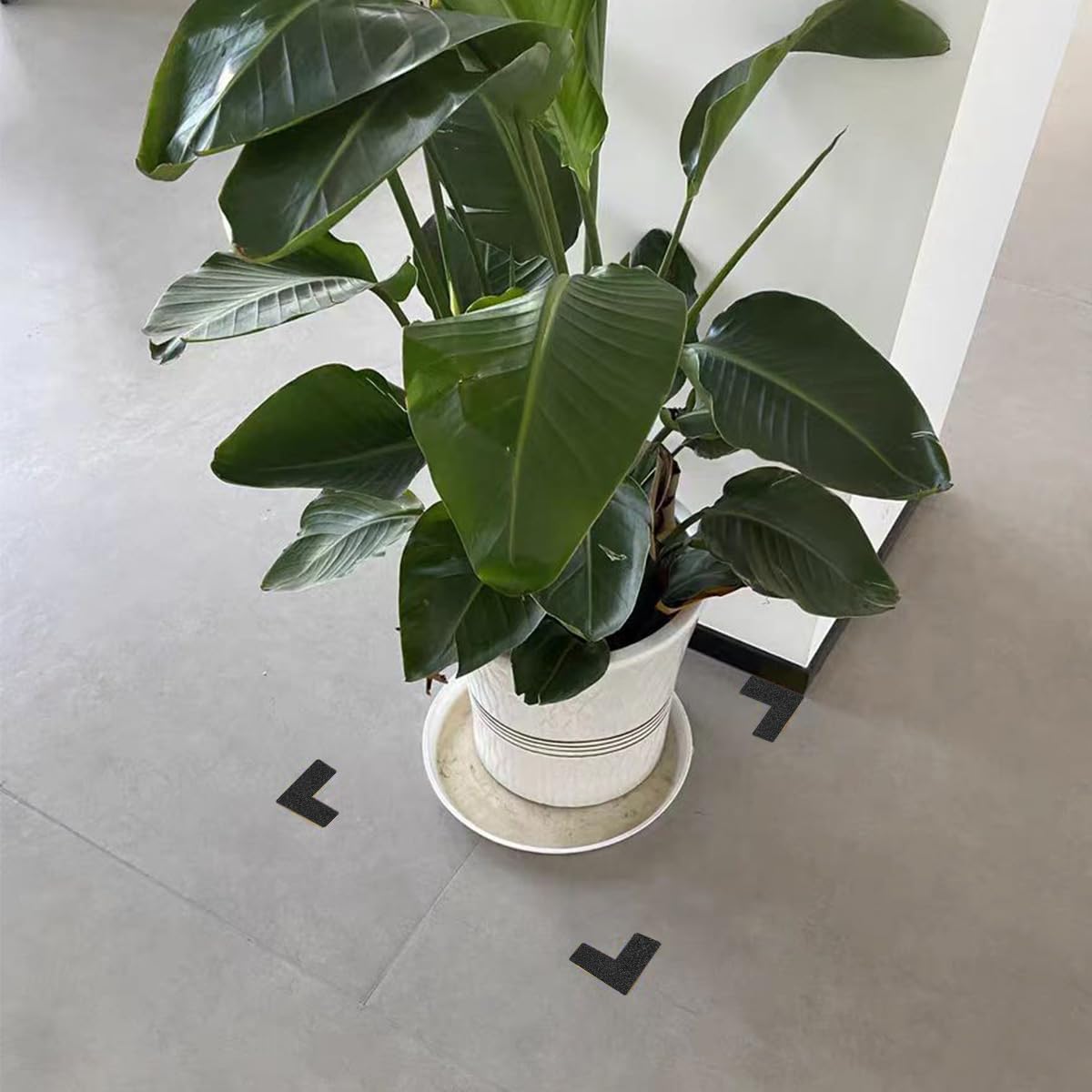 Snapklik.com : Beiyier 100 Pack 5s Location Marking Corner, 2x2x08 Inch ...