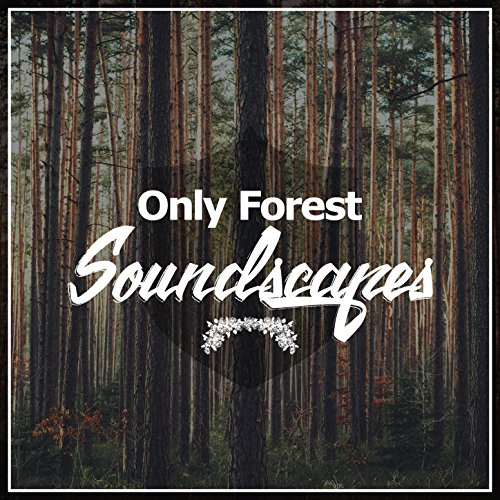 Play Only Forest Soundscapes by Forest Soundscapes on Amazon Music
