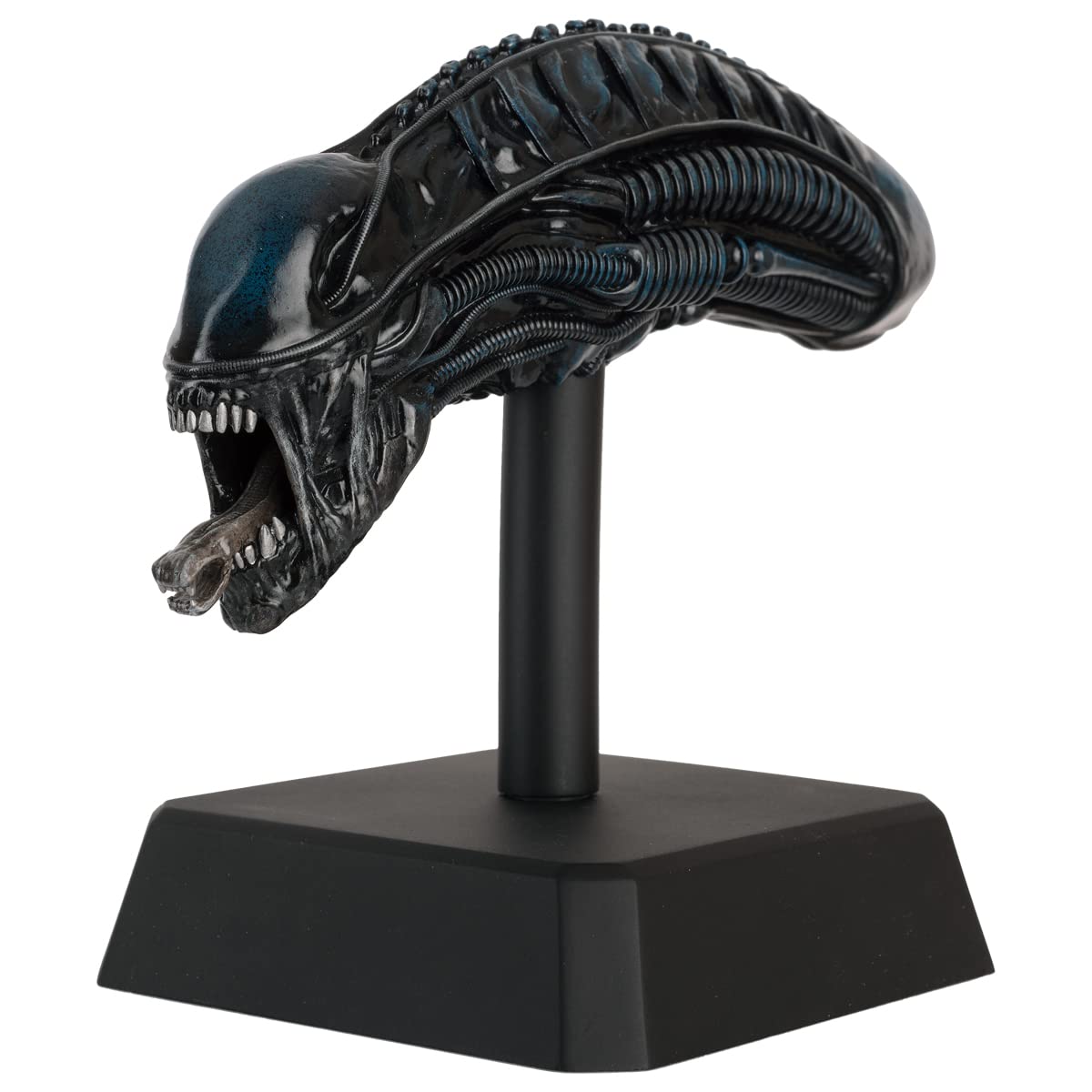 Xenomorph Head Xenomorph Alien Biomechanical Head 3D Model By