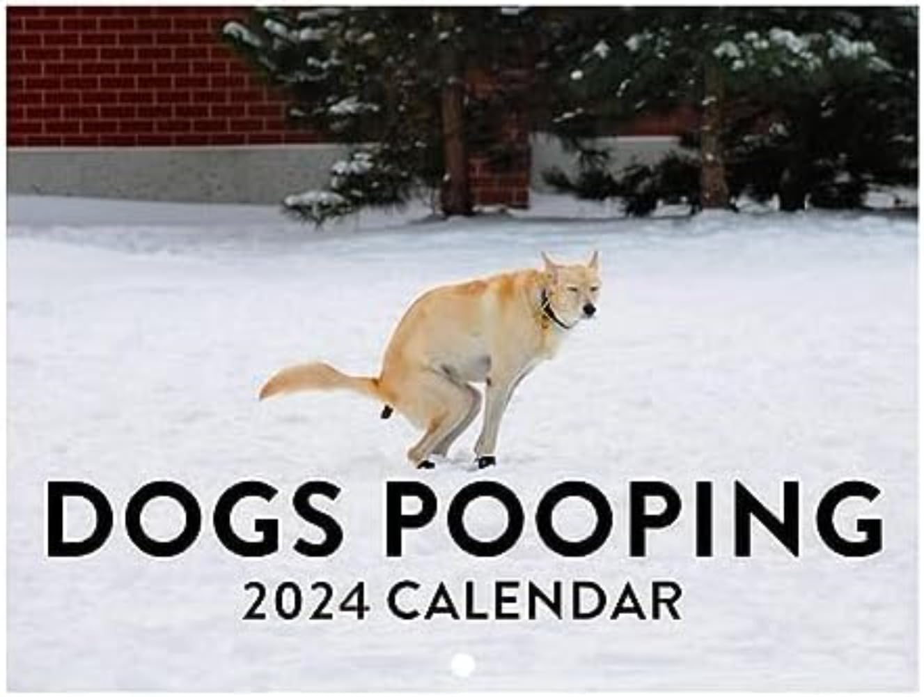 Dog Poop Memes Dog Poop Prank Reaction That Will Make You Laugh