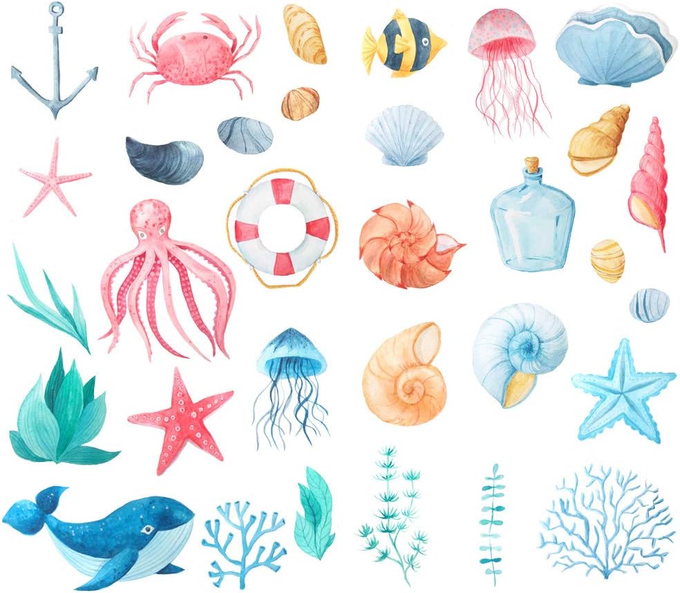 Amazon.com: Seasonstorm Watercolor Sea Shell Precut Cute Aesthetic ...