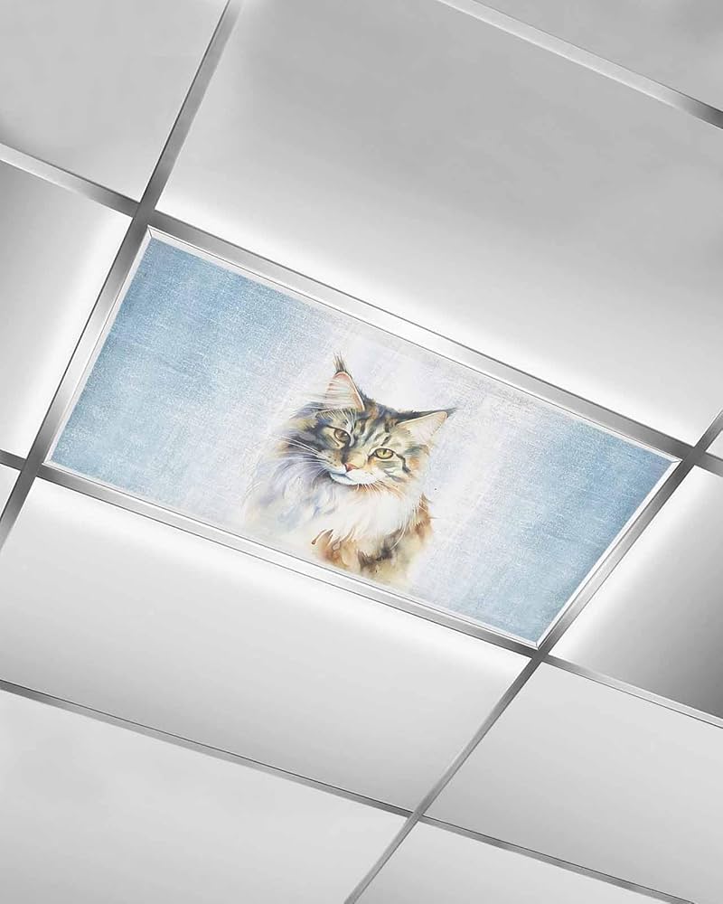 Diy Fluorescent Light Covers