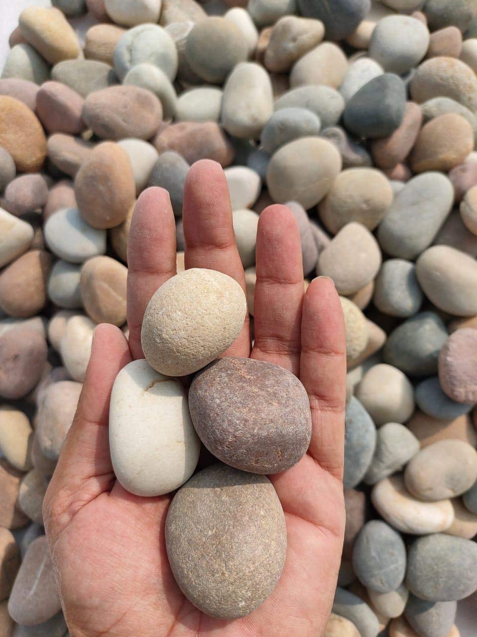 Bum Bum Bhole 5kg River Pebbles Rocks for Garden, Landscaping, Aquarium ...