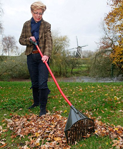 Golden Gark XXL (3-in-1 Rake Rake Shovel, Leaf Rake Multifunctional ...