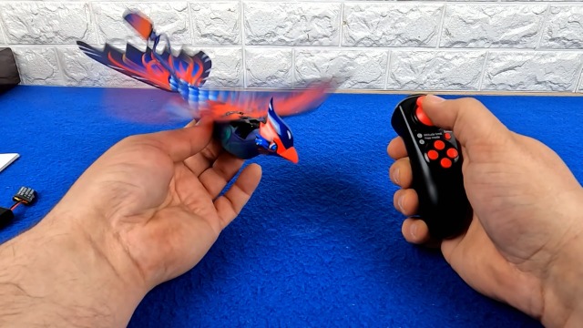Watch Go Go Bird 'BENNU' - How to get it to fly! on Amazon Live