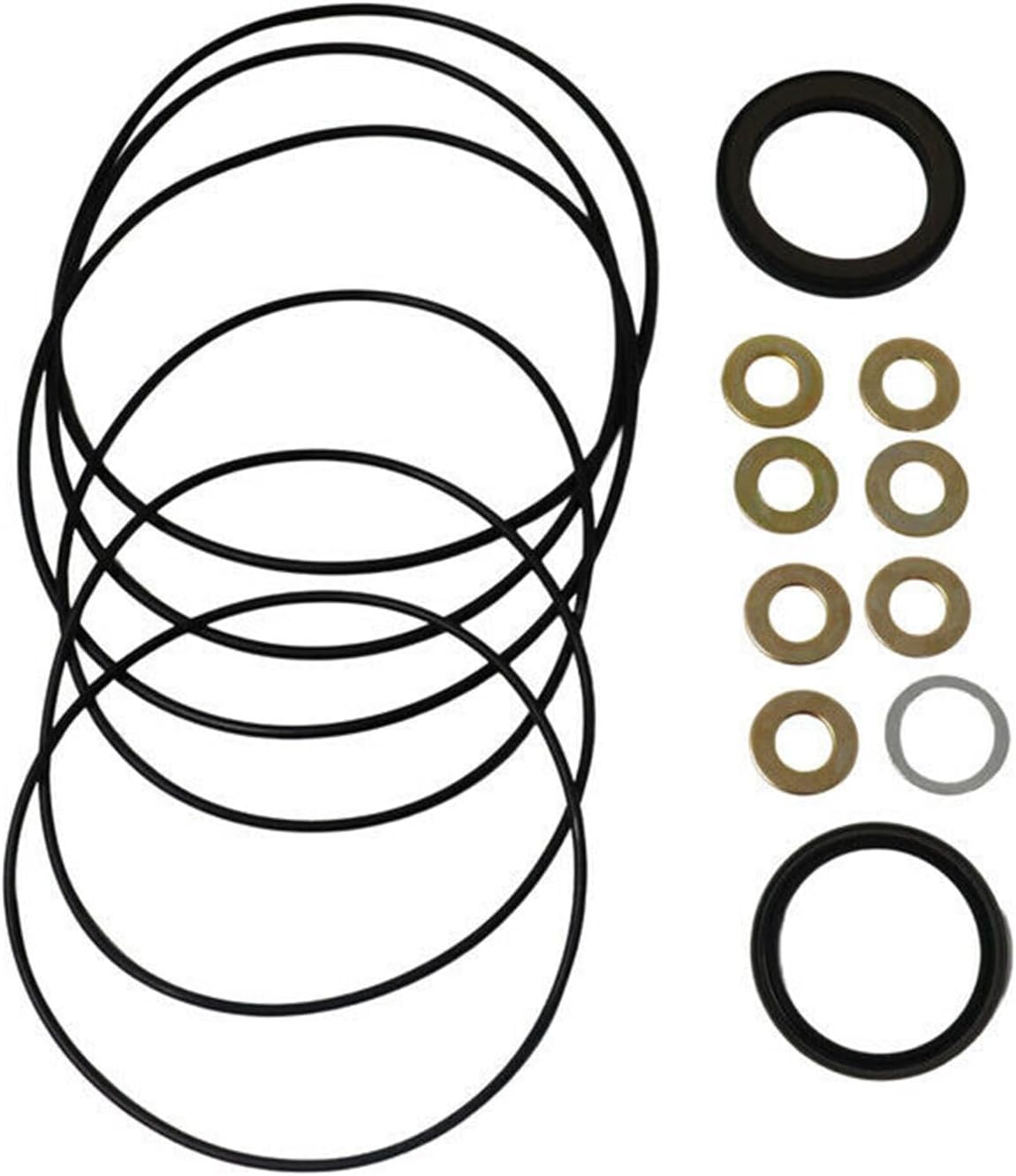 Amazon.com: YIHETOP Seal Kit 151-1286 Compatible for OMP Series 8, OMR ...