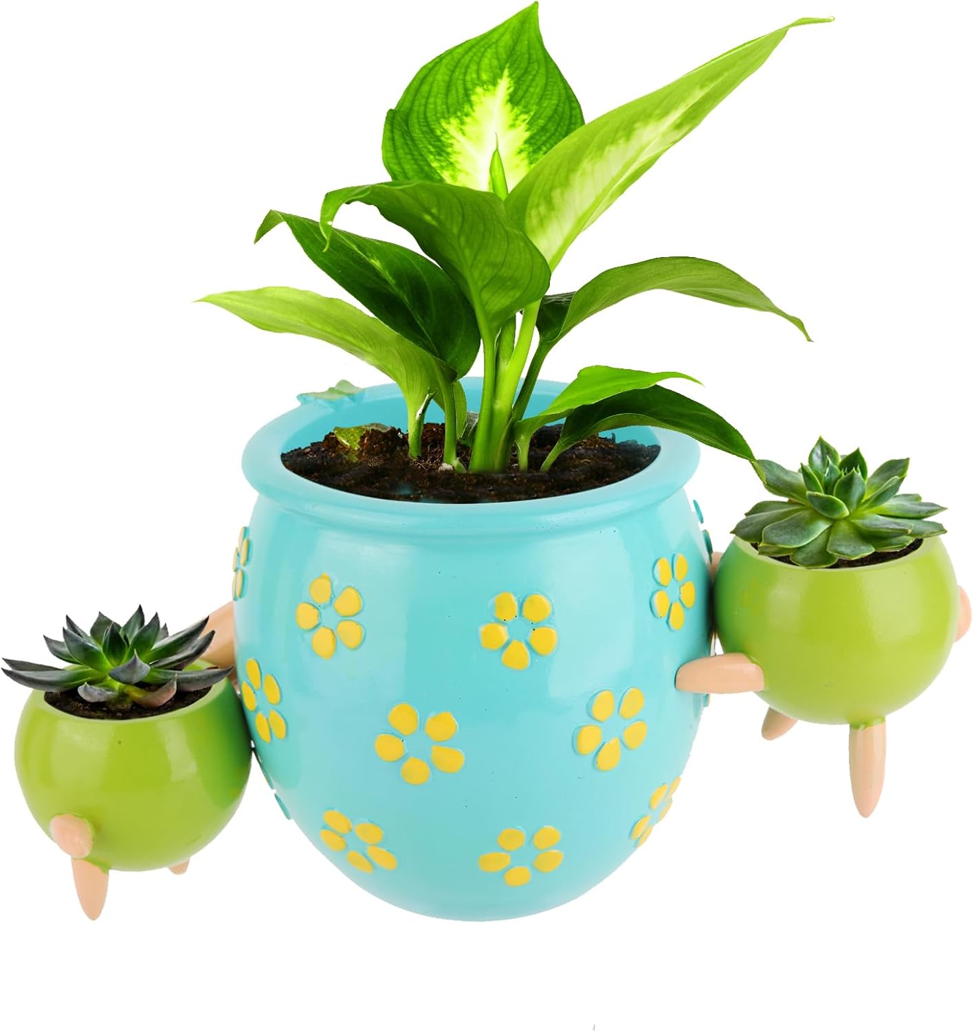 Amazon.com : TXMLXY Adorable Indoor Plant Pots, 3.74" Flower Pot & 1.57 ...