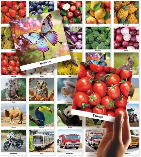 Dotimo 30 Nouns on Flashcards, Picture & Word Photo Cards – Language ...