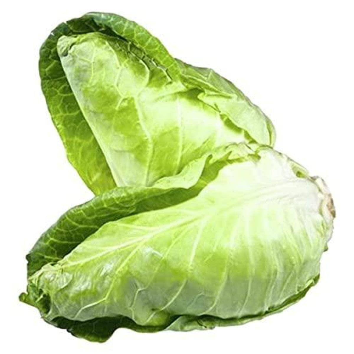 Bio Spitzkohl, Stück : Amazon.de: Lebensmittel & Getränke