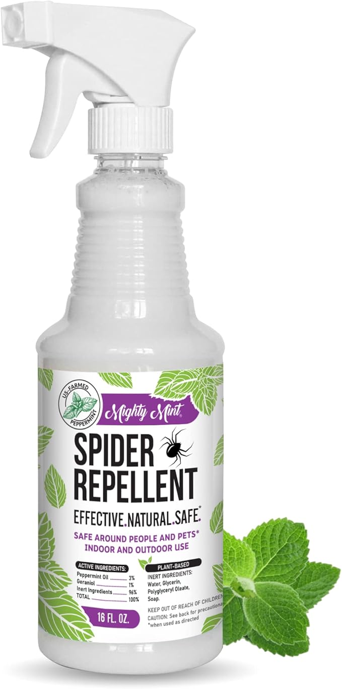 Amazon.com: Mighty Mint Peppermint Oil Spider Repellent Spray – Natural ...