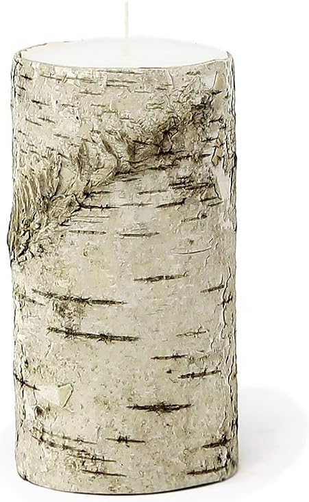 Amazon.com: Serene Spaces Living Birch Bark Pillar Candle – Unique, All ...