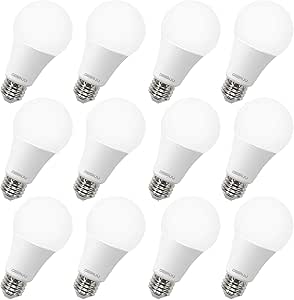 DEGNJU A19 Light Bulbs 100 Watt 5000K Daylight, 1500 LM, 15000 Hours ...