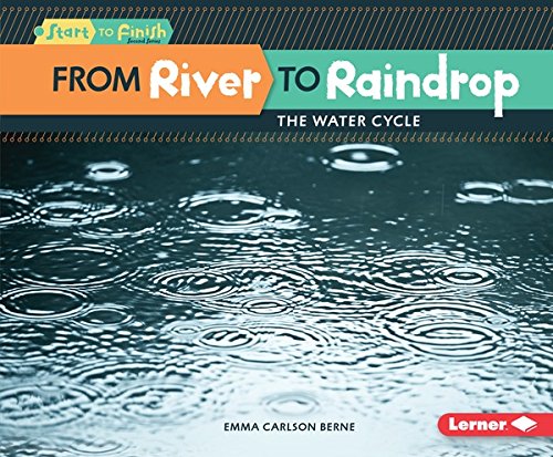 From River to Raindrop: The Water Cycle (Reading Level N) | World's ...