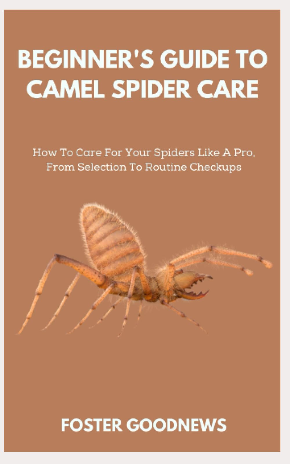 Amazon.com: BEGINNER'S GUIDE TO CAMEL SPIDER CARE: How To Care For Your ...