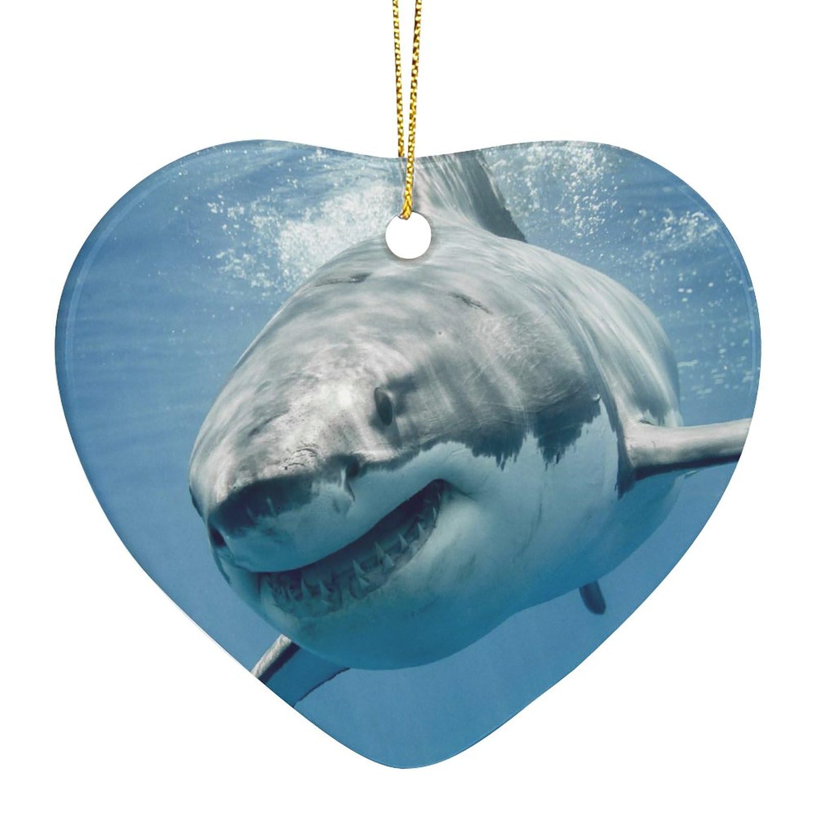 Funny Sharks Smiling
