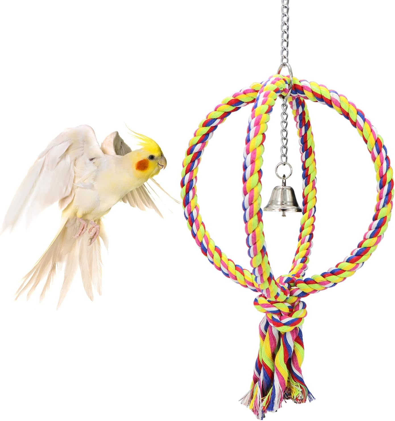 Amazon.com : LOGOFUN Wooden Bird Swing for Small Parrots - Simple and ...