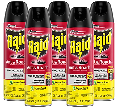 Top 10 Best Spray To Kill Roaches : Reviews & Buying Guide - Katynel