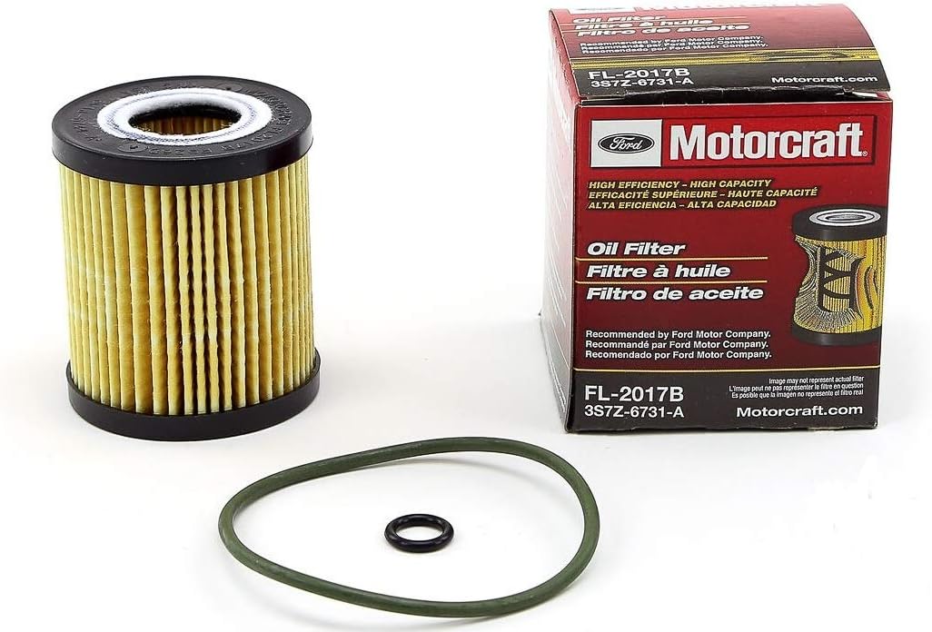 Amazon.com: Filter ASY - EN : Automotive