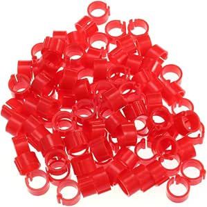 Amazon.com : GRIRIW 100 Pcs Bird Foot Rings Motion Ducks Parrot Foot ...